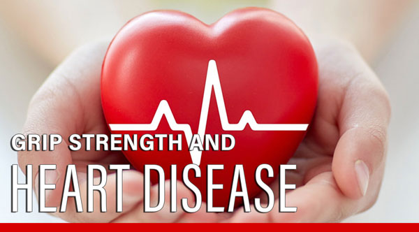 GRIP STRENGTH AND HEART DISEASE | ROPEFLEX - Strength & Conditioning ...
